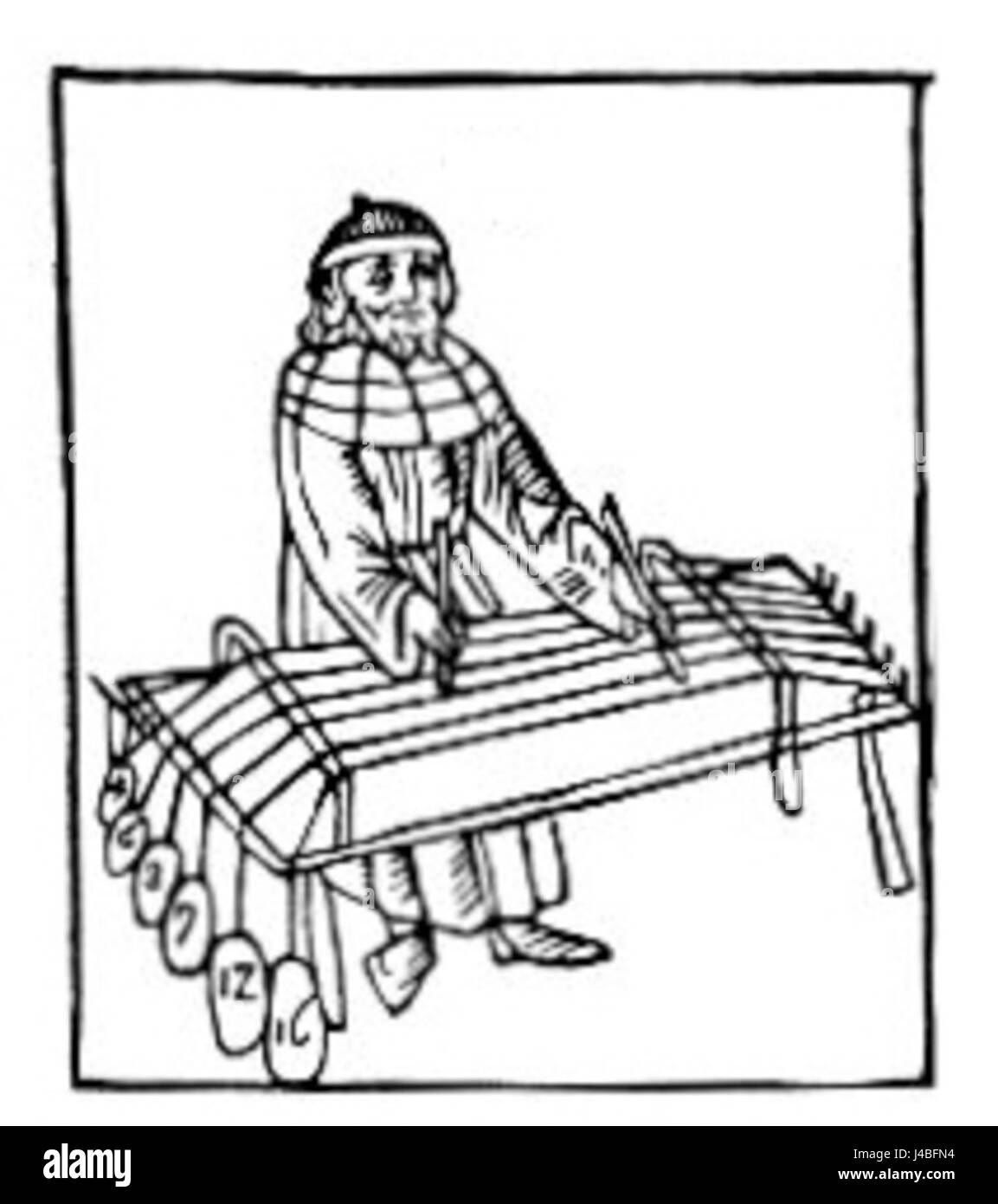 Diversity of beetle morphology Cut Out Stock Images & Pictures - Alamy