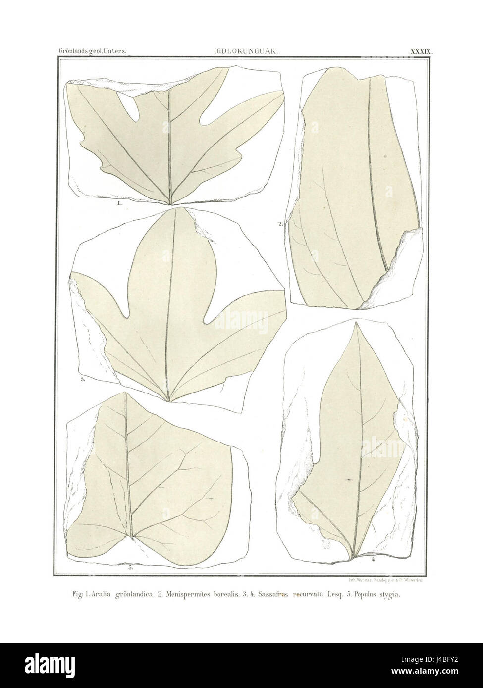 Resilience in work Cut Out Stock Images & Pictures - Alamy