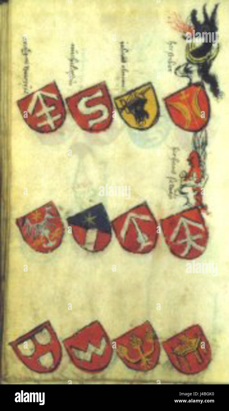 This page from the Codex Bergshammar contains depictions of Polish ...