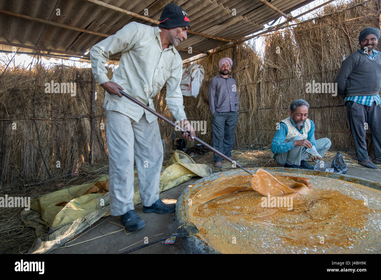 Sugar cane punjab india hi-res stock photography and images - Alamy
