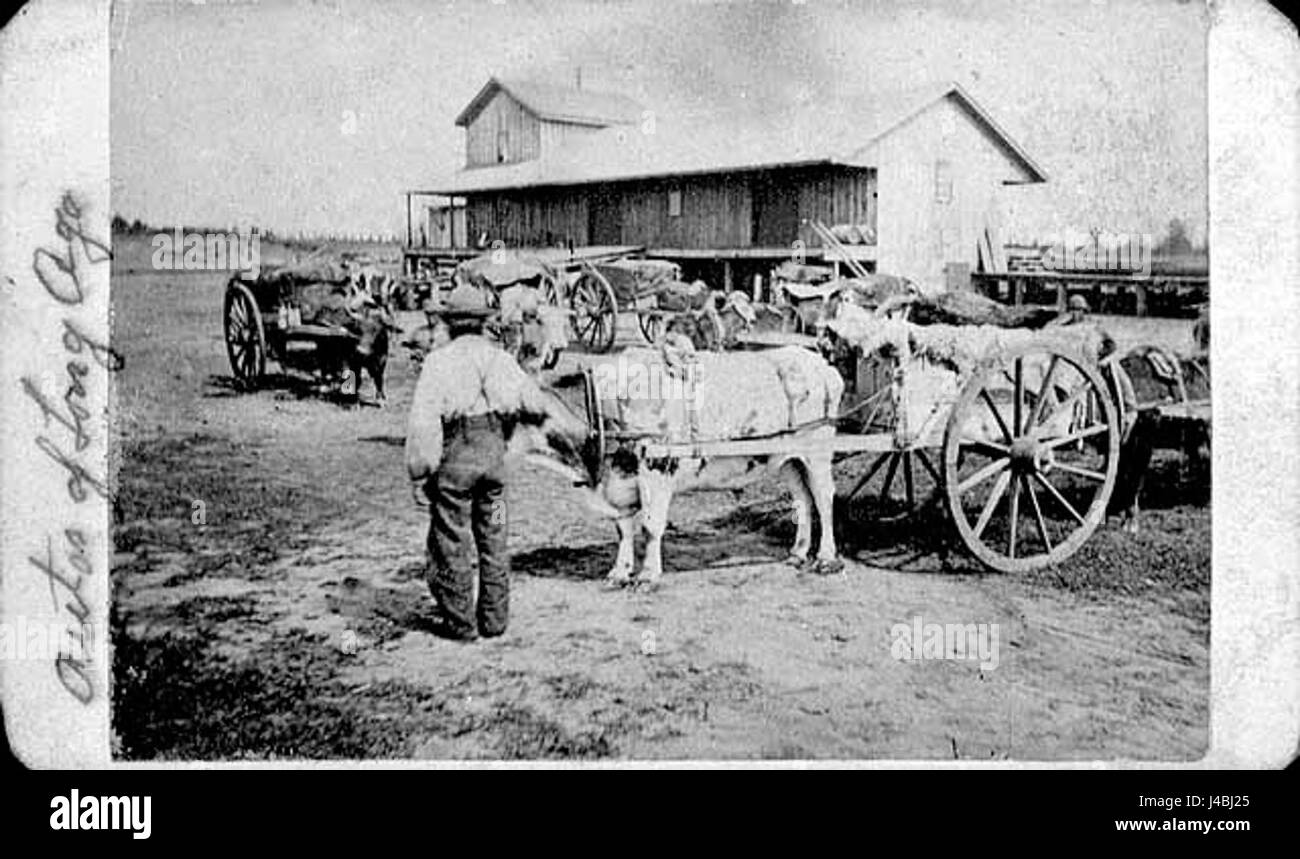 Red River carts were iconic transport vehicles used in the Red River ...