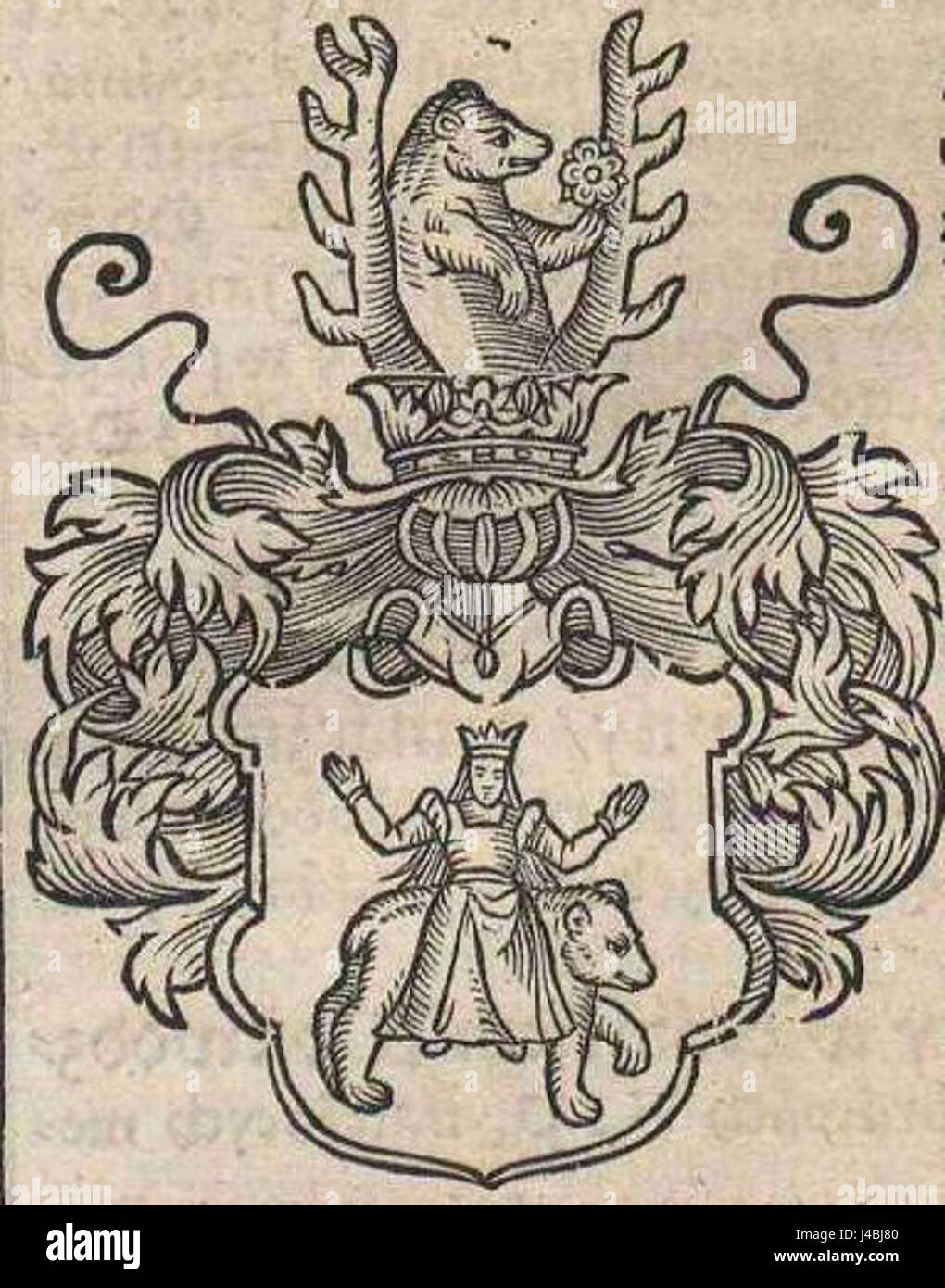 Paprocki hi-res stock photography and images - Alamy