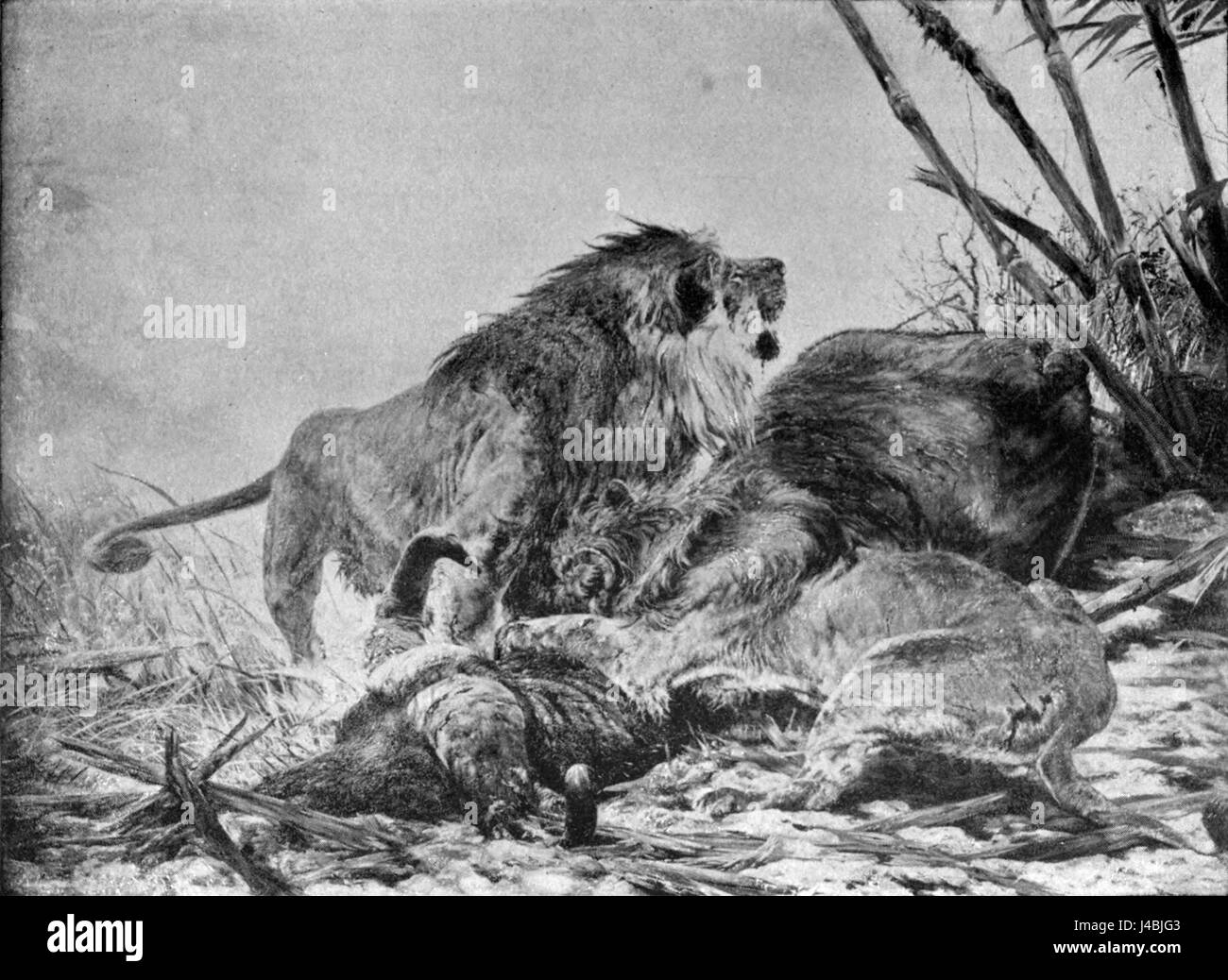 Richard Friese's 'Dans le Lagon' is a painting that depicts a serene ...