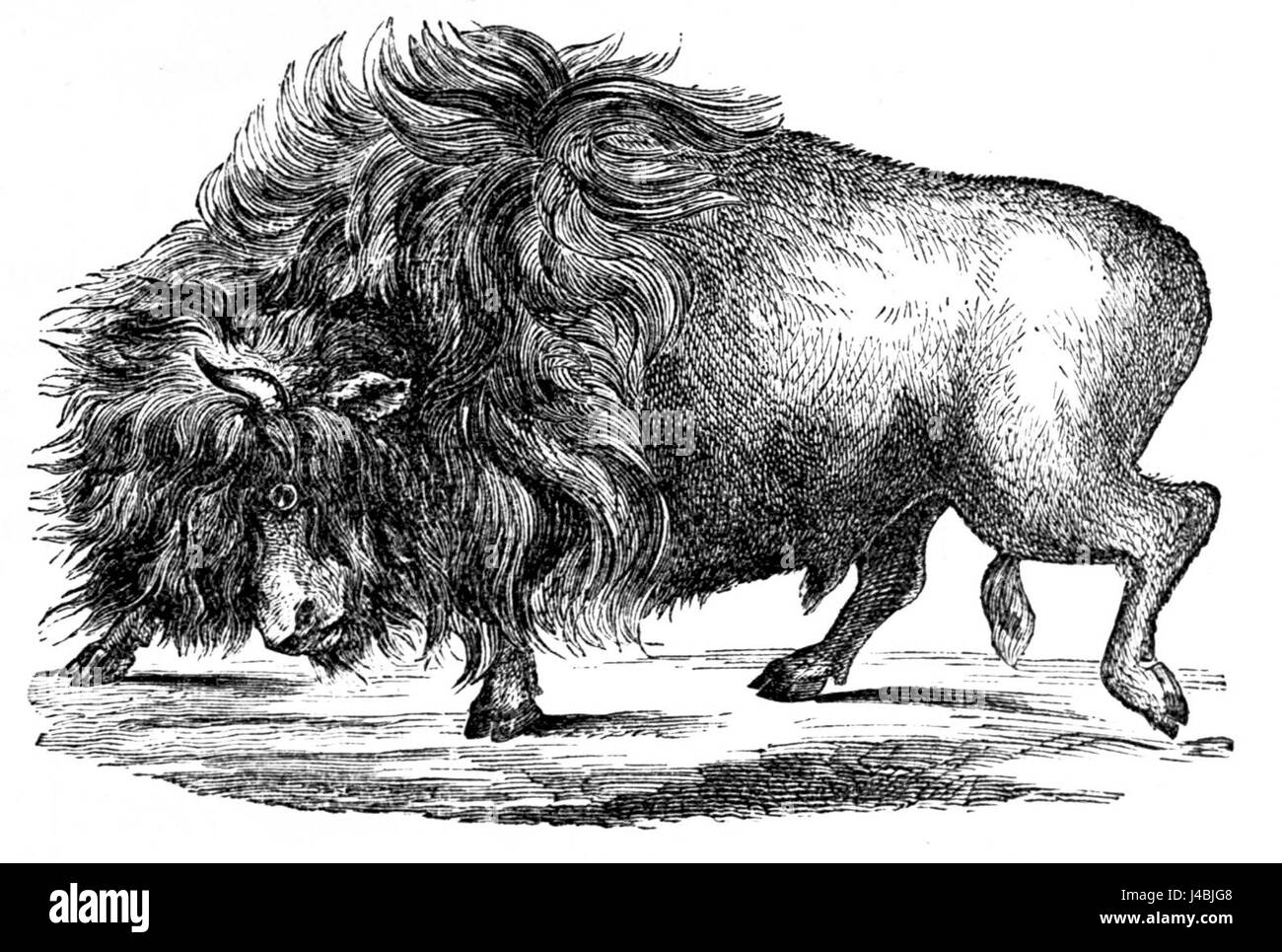This illustration from the PSM V04 D155 publication features the ...
