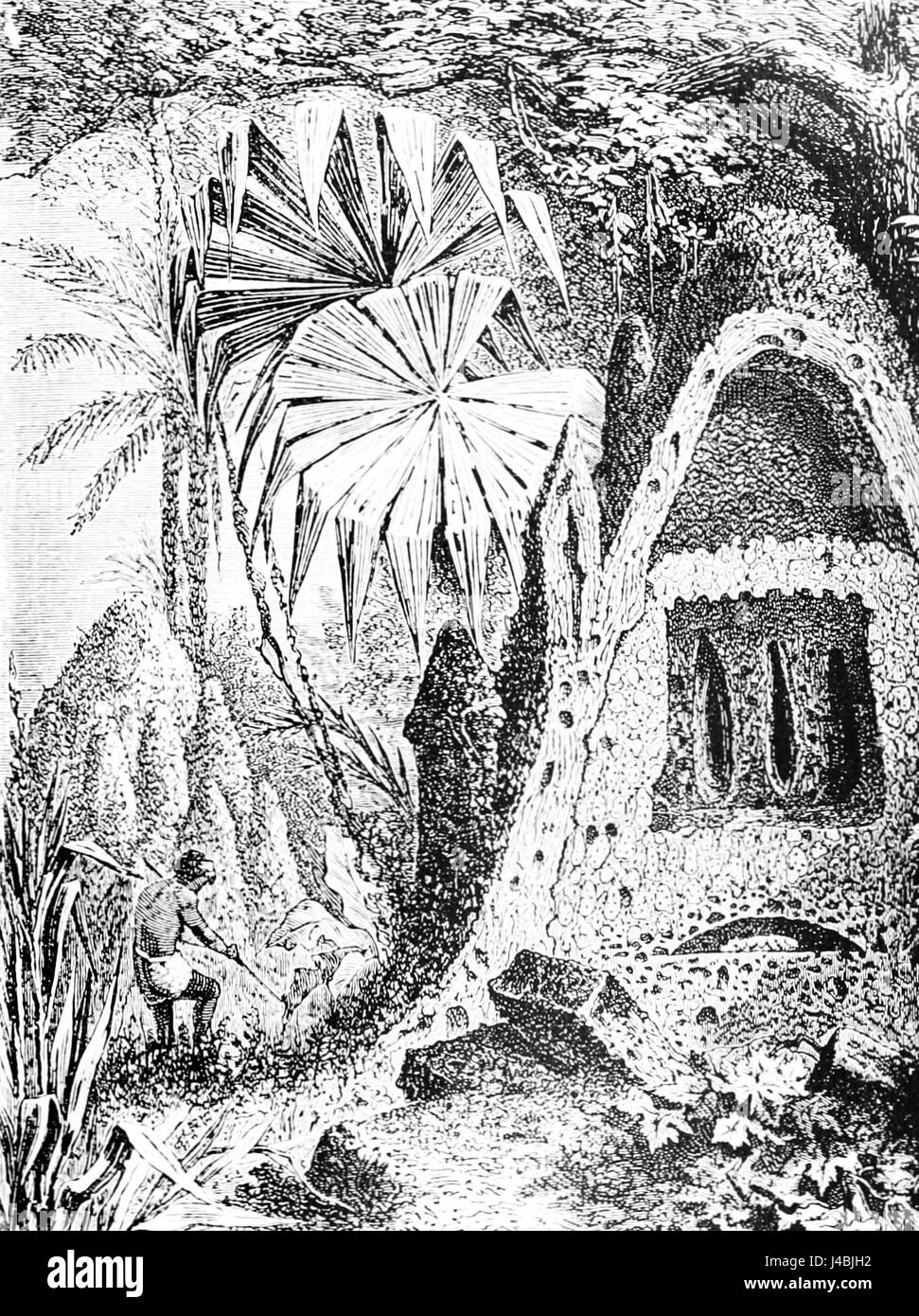 The section of a termite palace depicted in PSM V44 D621 illustrates ...