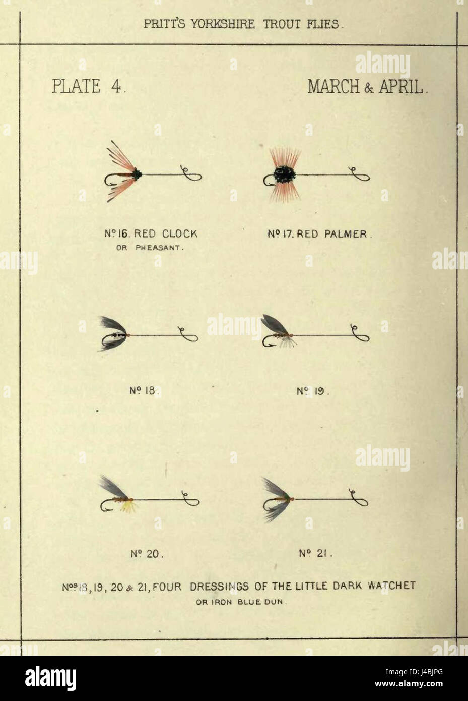 Illustration from a publication depicting Plate 4 of Yorkshire trout ...