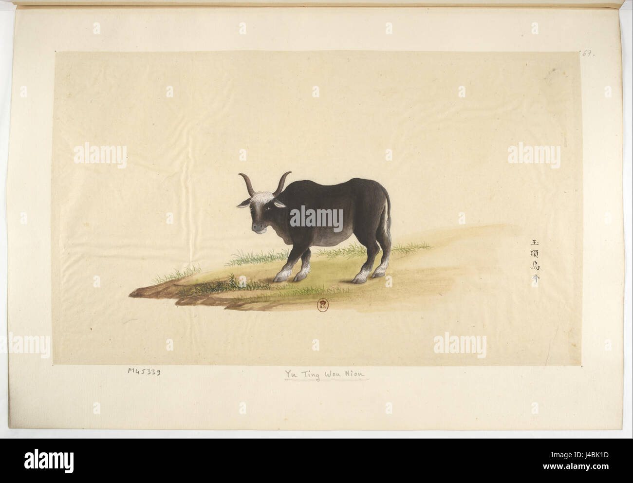 This is an illustration from the 'Recueil Animaux de la Chine,' a work ...