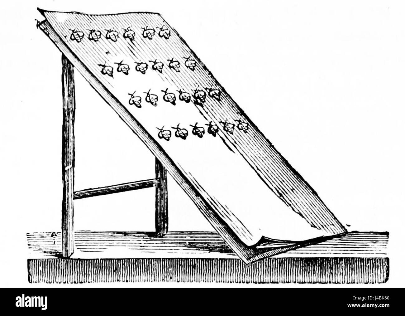 Metamorphic process hi-res stock photography and images - Alamy