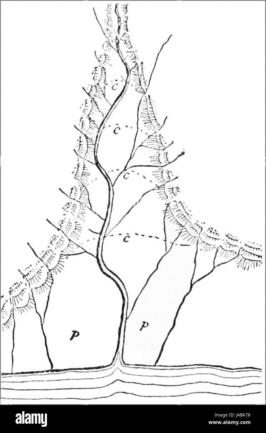 Map of plateau hi-res stock photography and images - Alamy