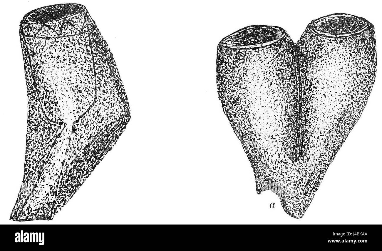 PSM V44 D249 Calumets from the champlain valley Stock Photo - Alamy