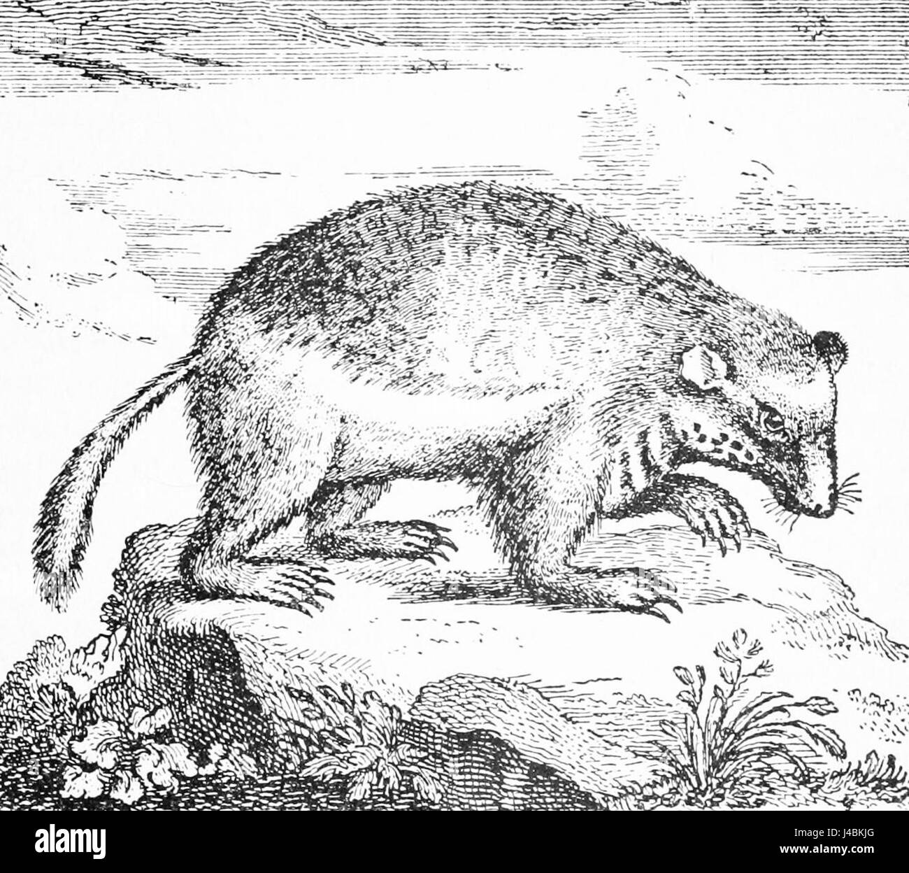 Wolverine map hi-res stock photography and images - Alamy