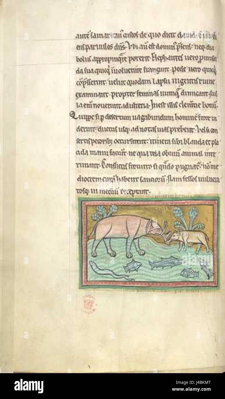 The *Rochester Bestiary* is an illuminated manuscript from the 12th ...