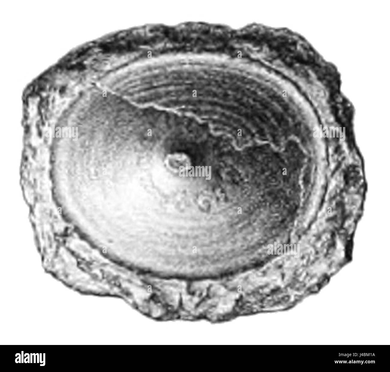 Sun place Cut Out Stock Images & Pictures - Alamy