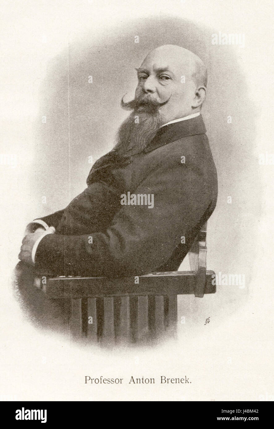 Professor Anton Brenek was a prominent figure in his field, known for ...
