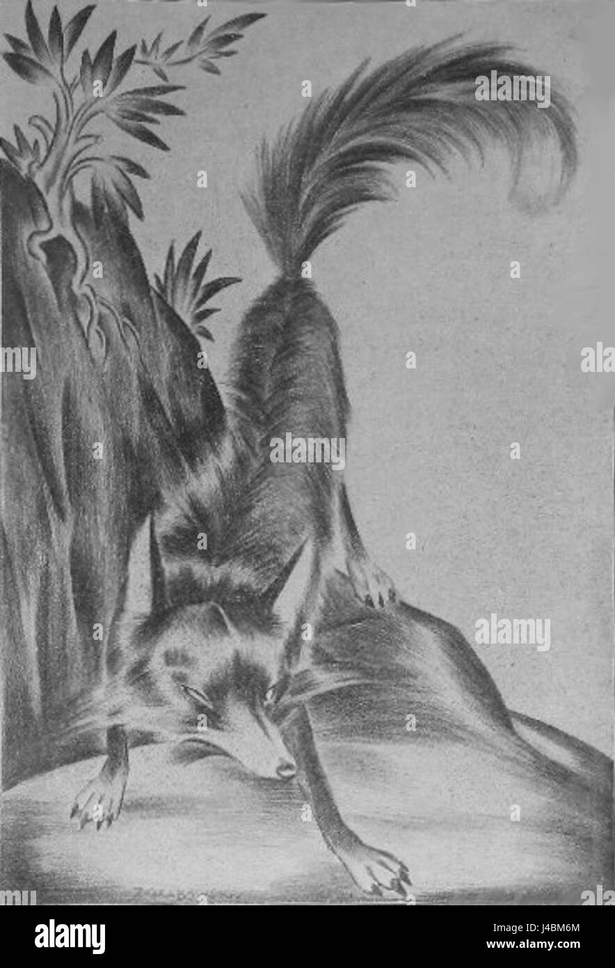 PL Slonski O zolnierzu tulaczu str 049 Stock Photo - Alamy