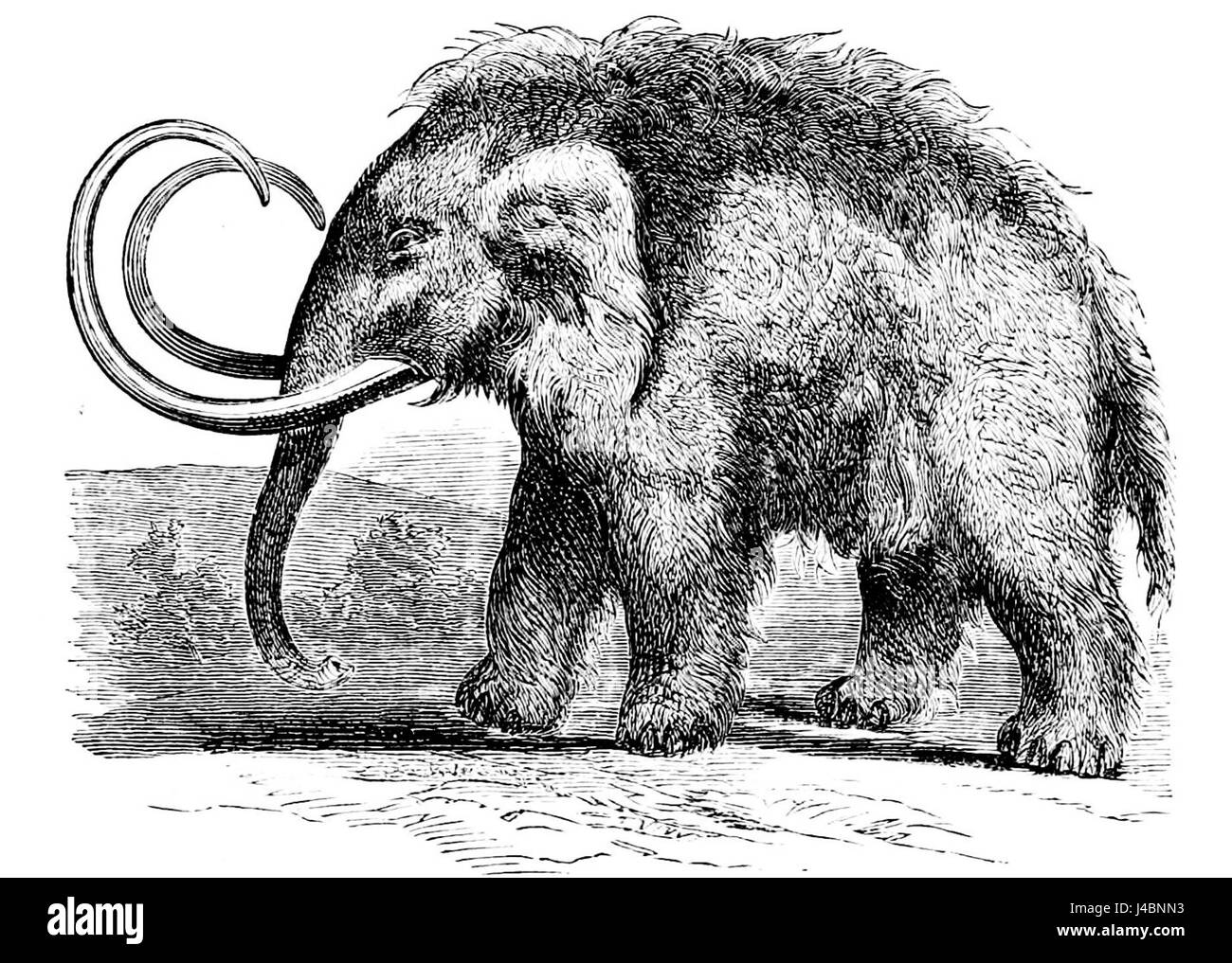 An illustration from Popular Science Monthly (PSM), featuring a ...