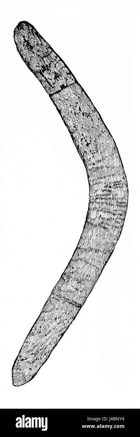 Model likely Cut Out Stock Images & Pictures - Alamy