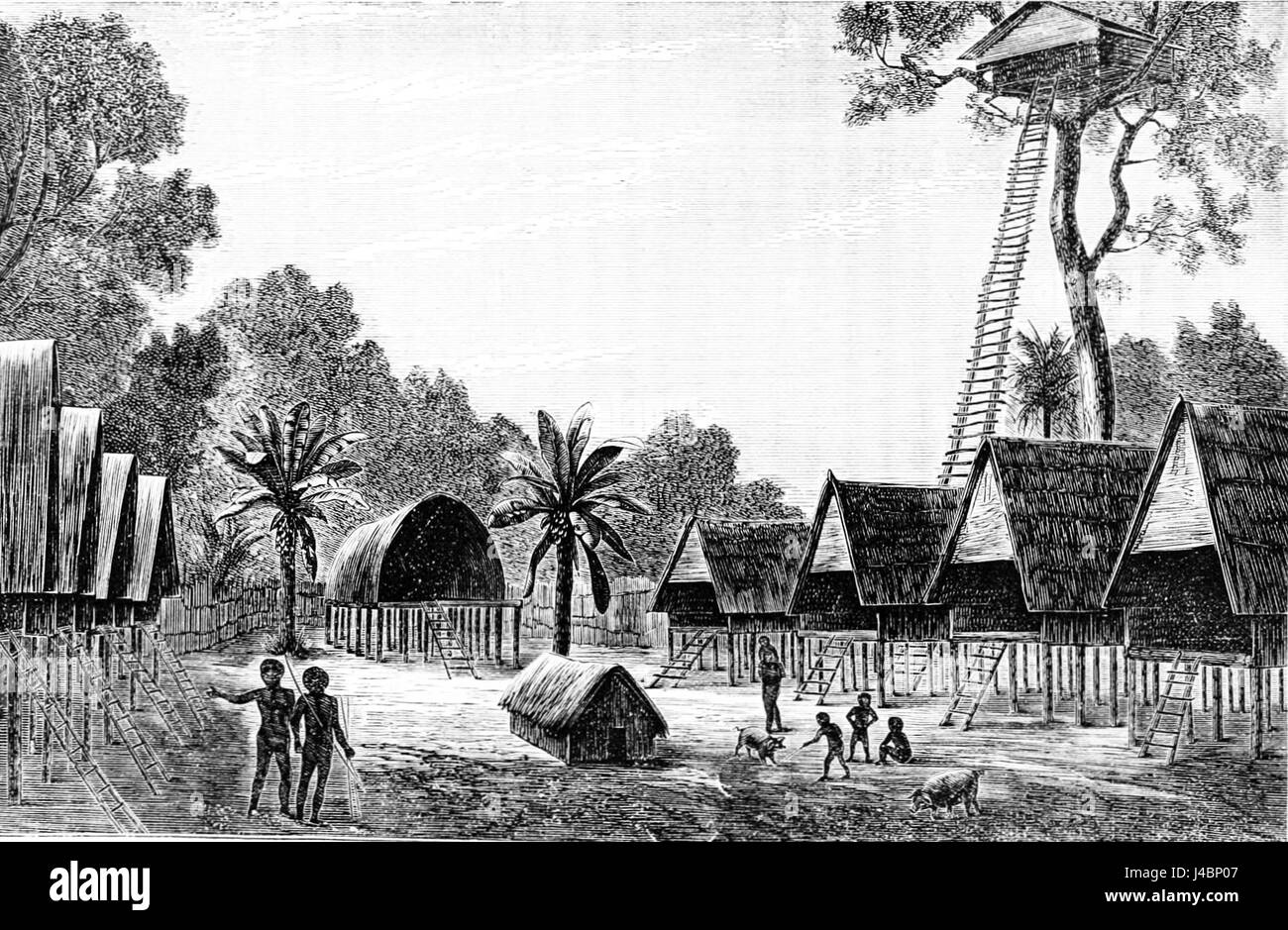 Mahori hi-res stock photography and images - Alamy