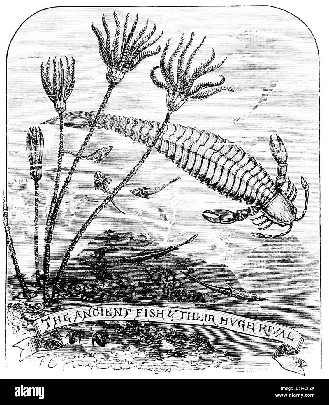 Ancient habitats Black and White Stock Photos & Images - Alamy