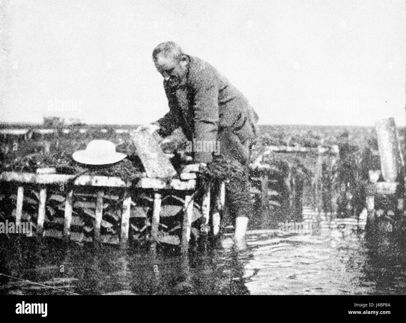 An image from PSM V44 D023 showing the examination of a tile covered ...