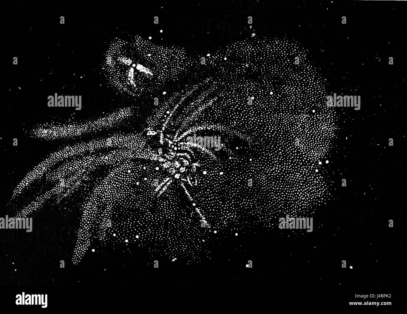 In nebula Black and White Stock Photos & Images - Alamy
