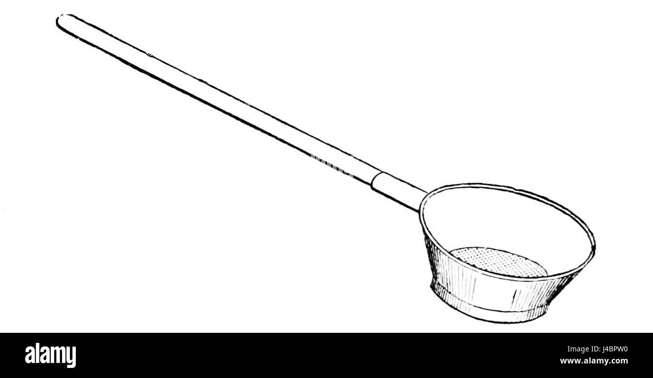 Mollusks Black and White Stock Photos & Images - Alamy