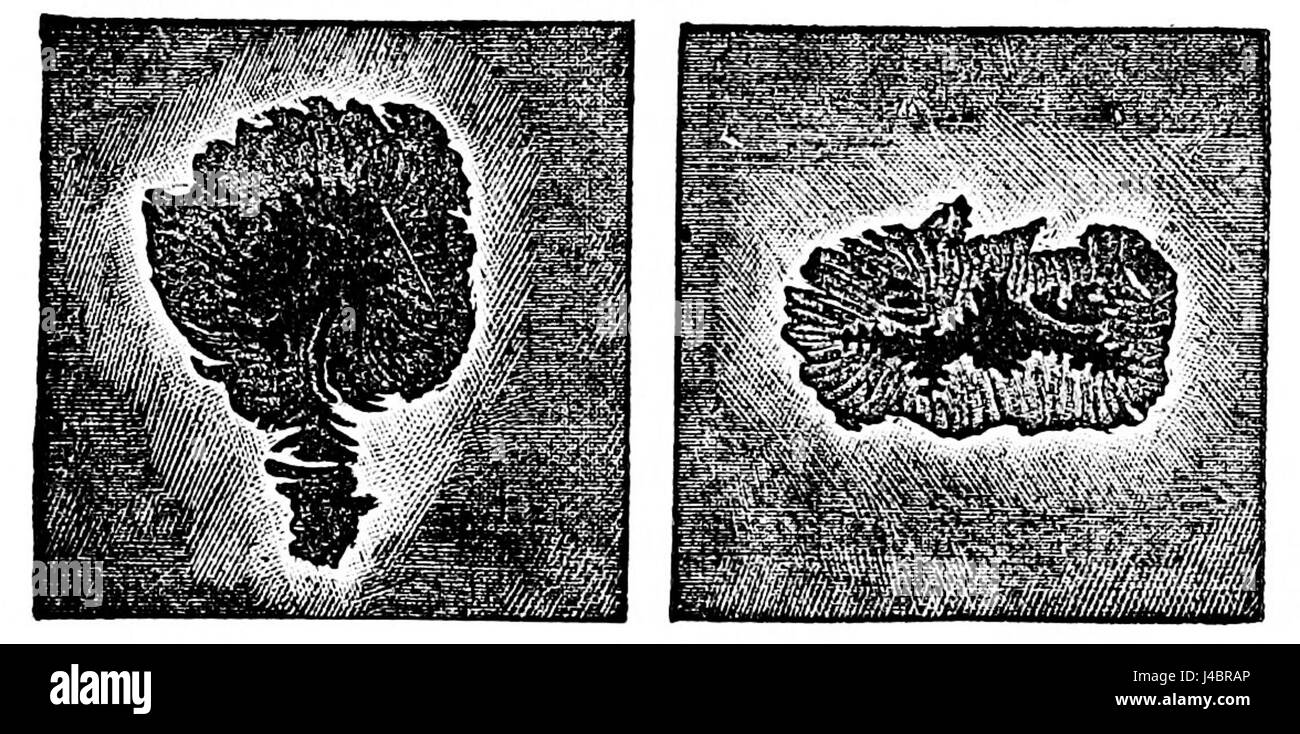 Astronomy solar system Cut Out Stock Images & Pictures - Alamy