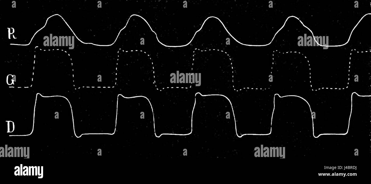 This image is related to a physical action involving jumping on two ...