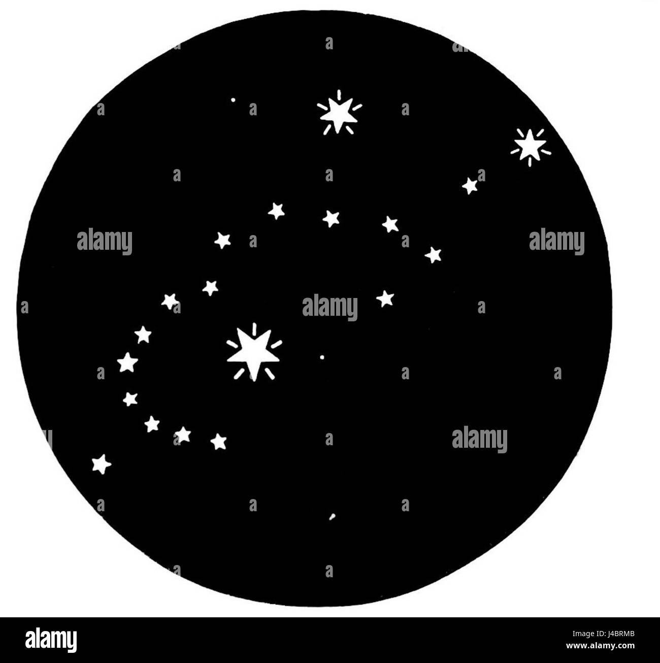 This illustration from PSM V32 D540 shows Delta Orionis, a star in the ...