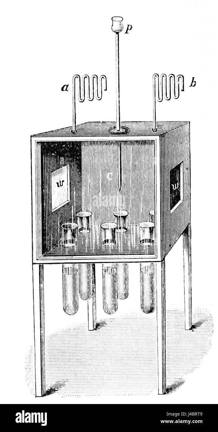 Spontaneous generation experiment hi-res stock photography and images ...