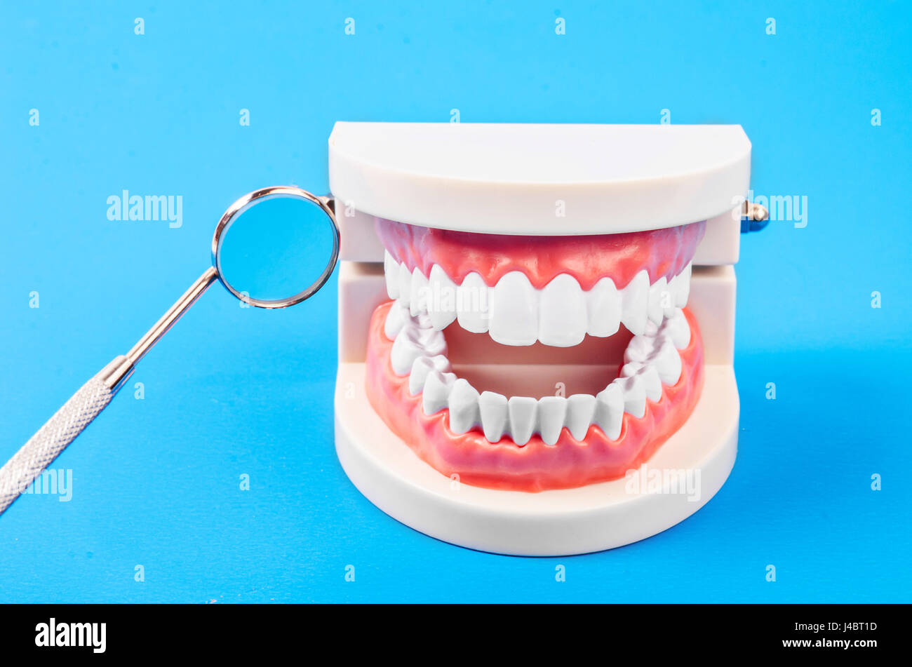 White teeth model and dental instruments on blue background Stock Photo ...