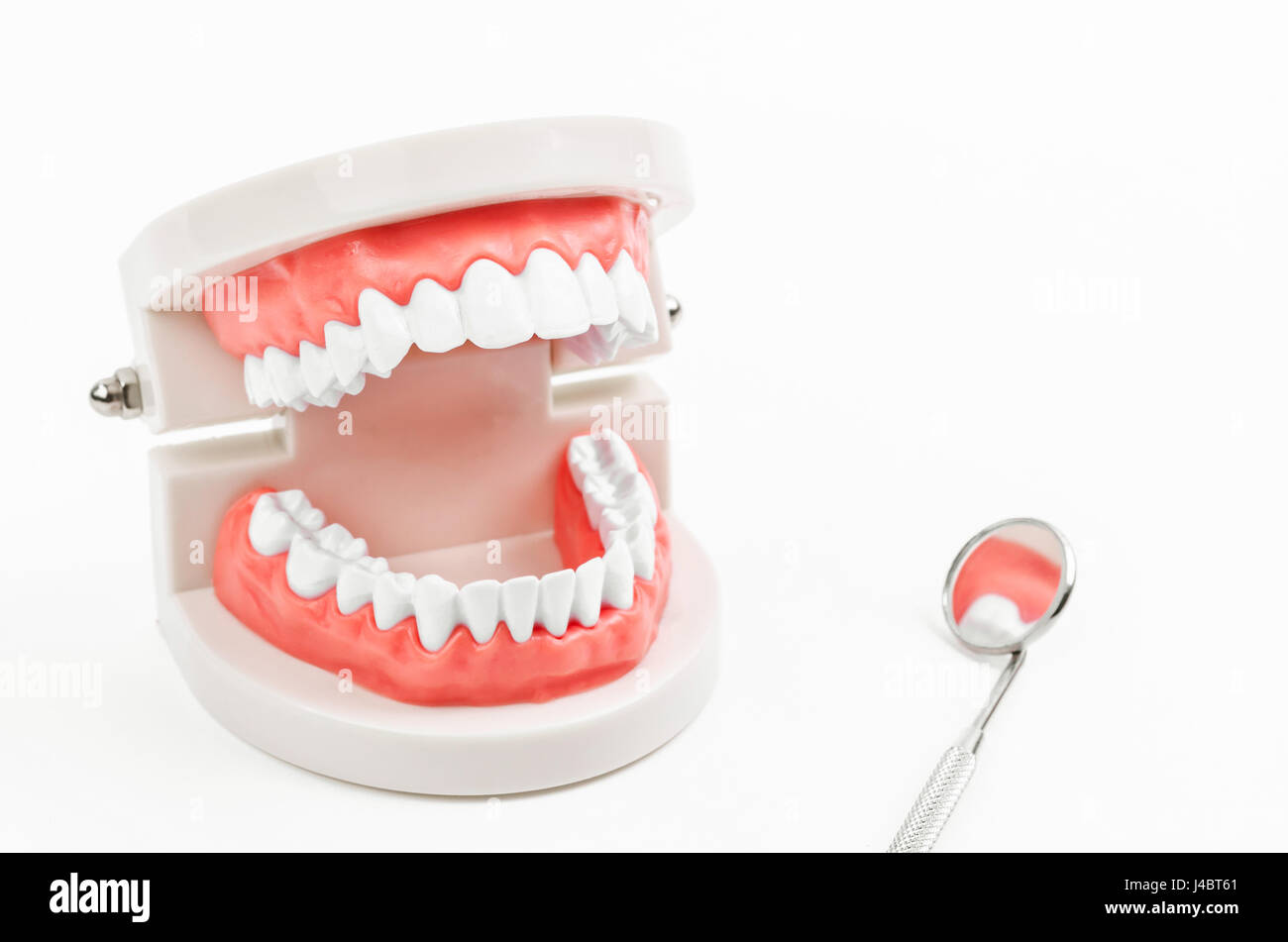 White teeth model and dental instruments on white background. Dental ...