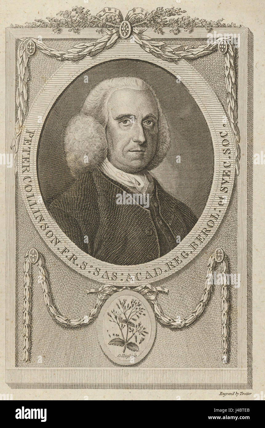 Peter Collinson FRS Stock Photo - Alamy