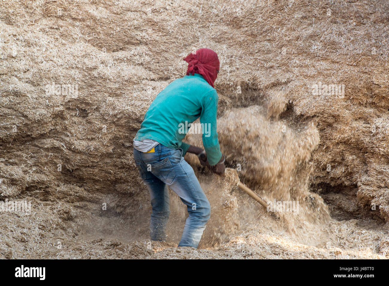 Someone Hitting The Hay