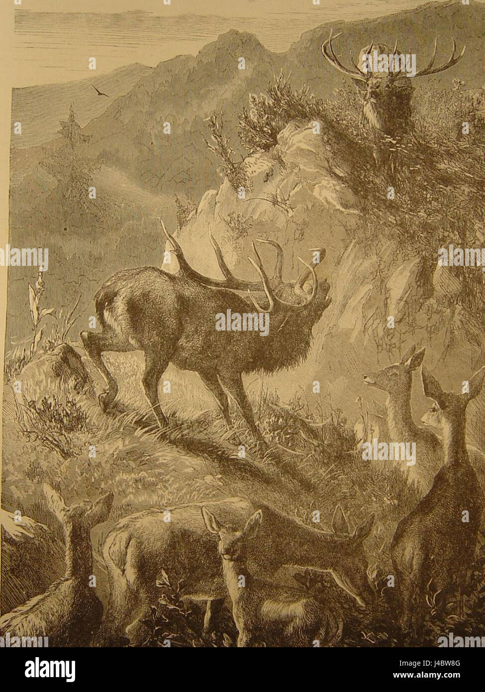 A modern art piece titled 'Provocation' showcases bold and ...