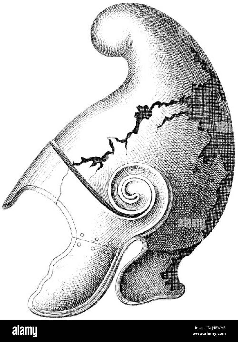 The Phrygian Taman is a type of ancient headgear from the Phrygian ...