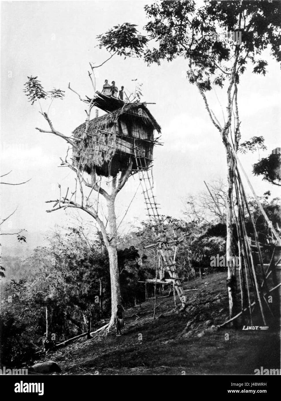 Sustainable plate Black and White Stock Photos & Images - Alamy