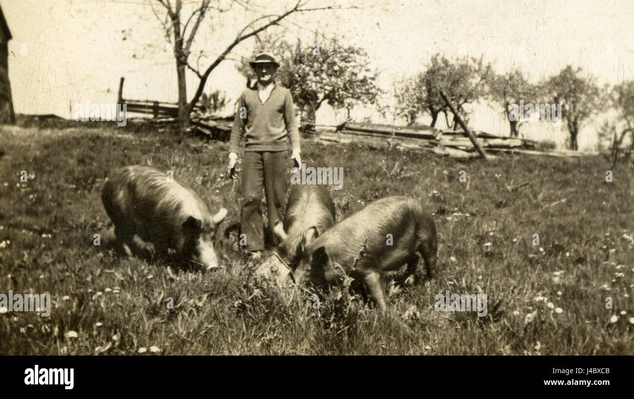 Peckham orchard animals06 Stock Photo - Alamy