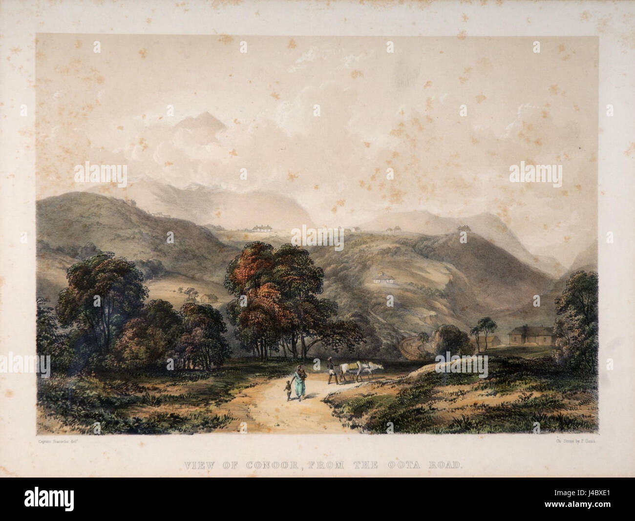 Peacocke View of Coonoor from the Ootah Road Stock Photo - Alamy