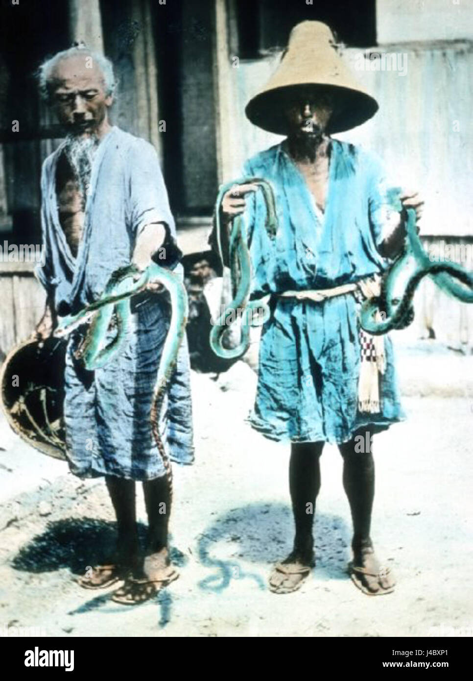 Professional snake catchers are individuals who specialize in the safe ...