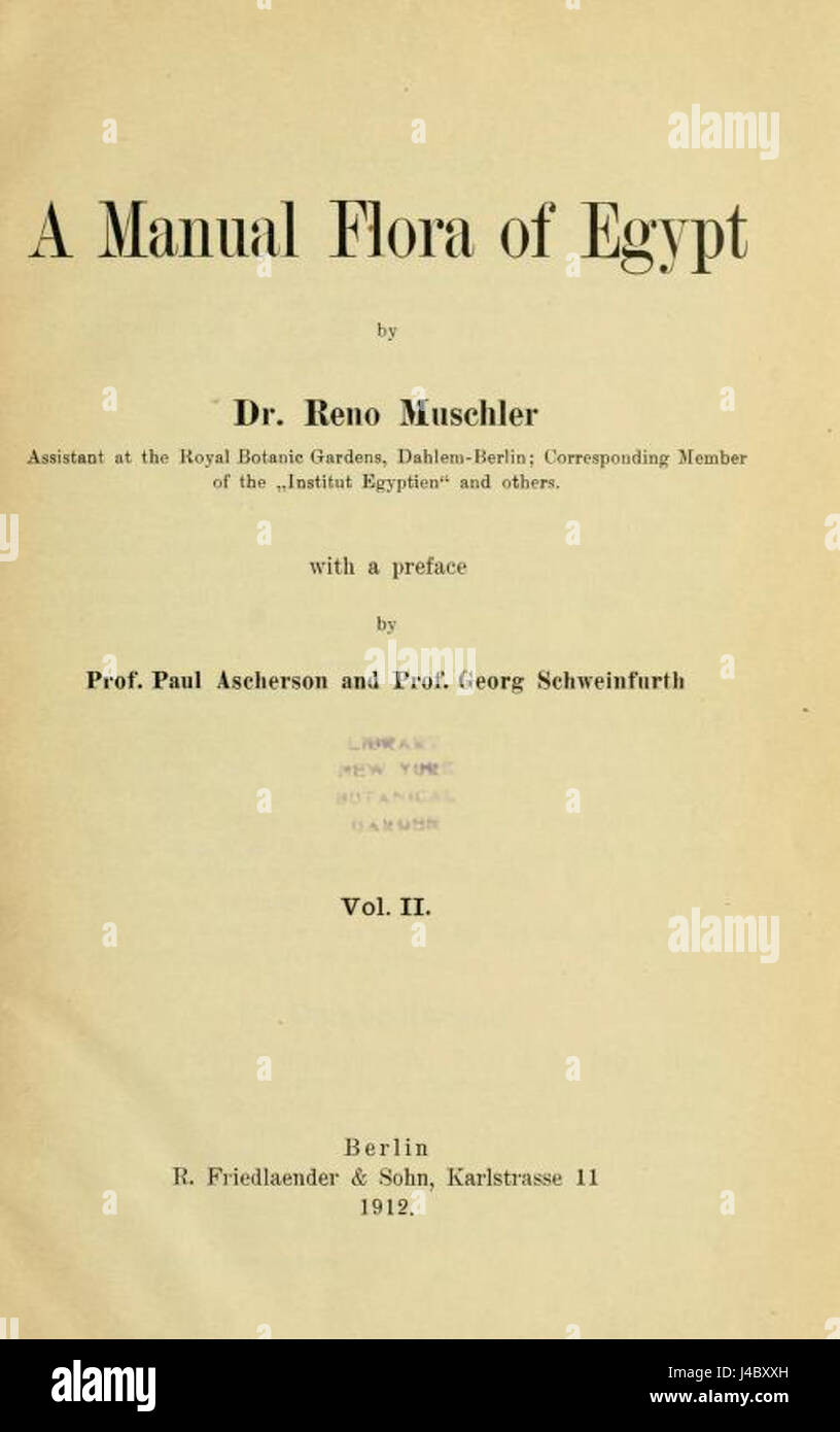 Muschlers hi-res stock photography and images - Alamy