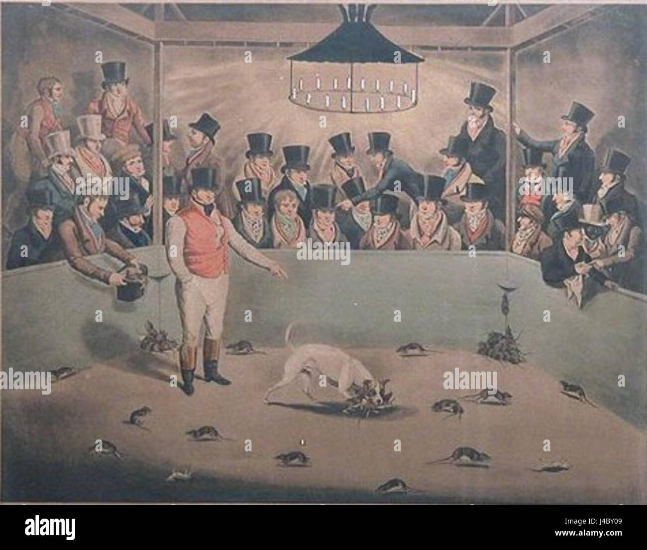 This artwork depicts a dog famously known for killing rats, likely ...