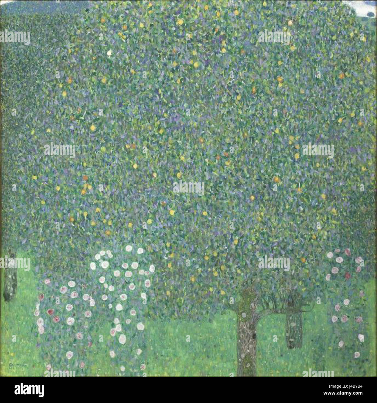 Rose Bushes Under the Trees (c1905) by Gustav Klimt Stock Photo - Alamy