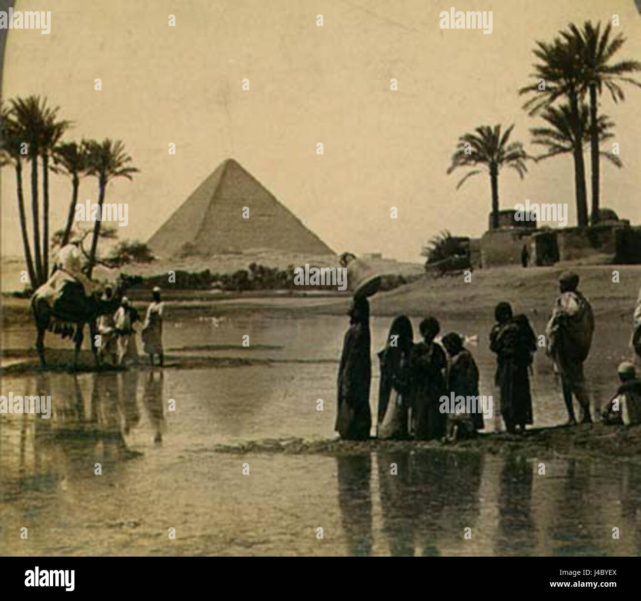 Unique fruit forms hi-res stock photography and images - Alamy