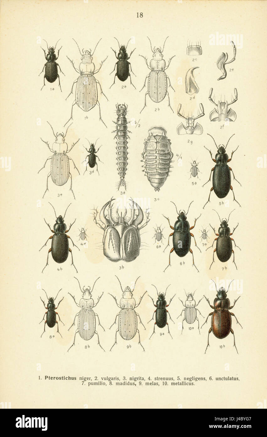 This image likely depicts a historical table from 1908, designed by ...