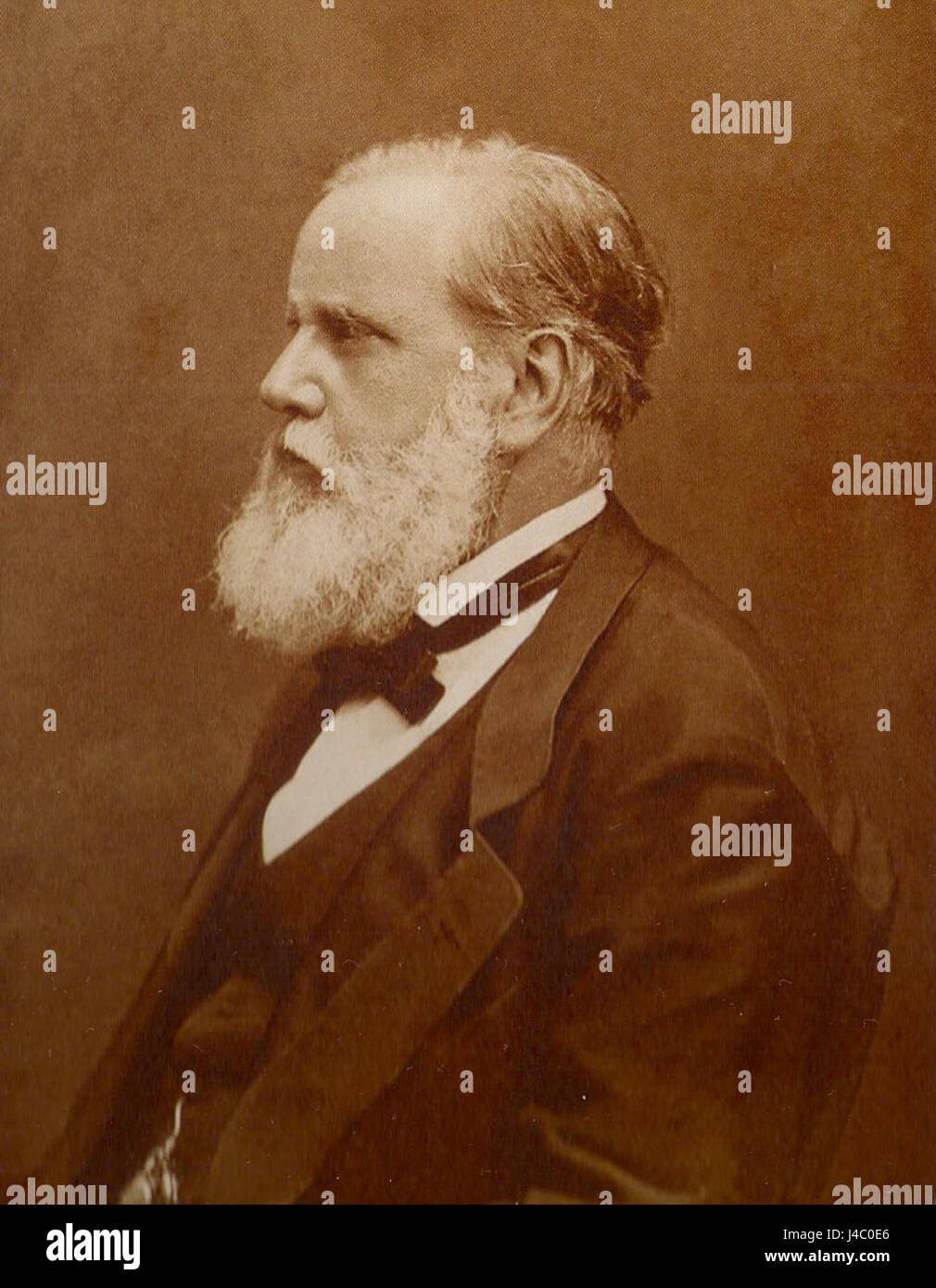 Pedro II was the Emperor of Brazil during the 19th century, and this ...