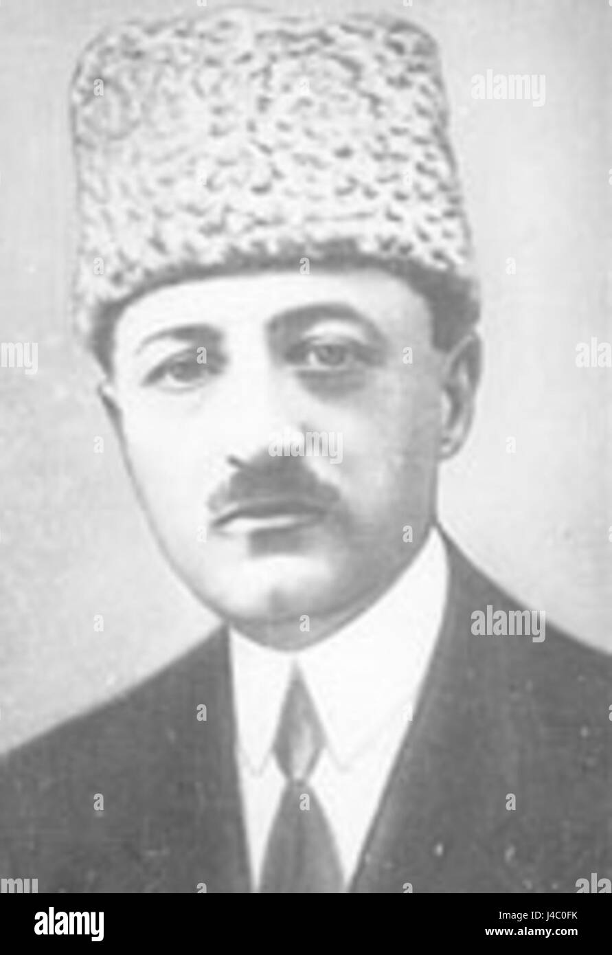 Riza Nur Bey was a prominent Turkish figure known for his involvement ...