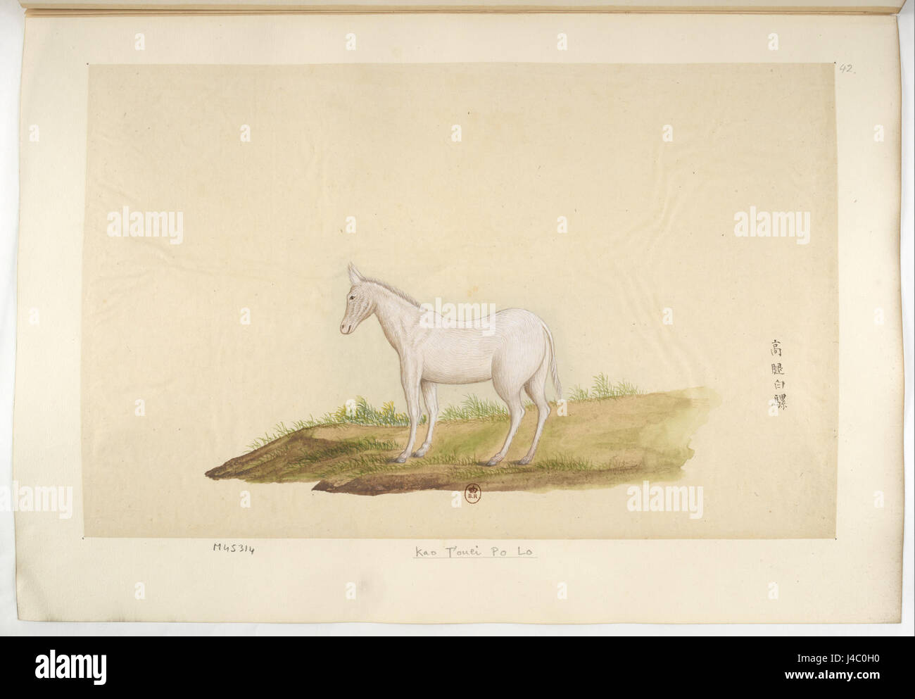 An illustration from the book 'Recueil des Animaux de la Chine ...