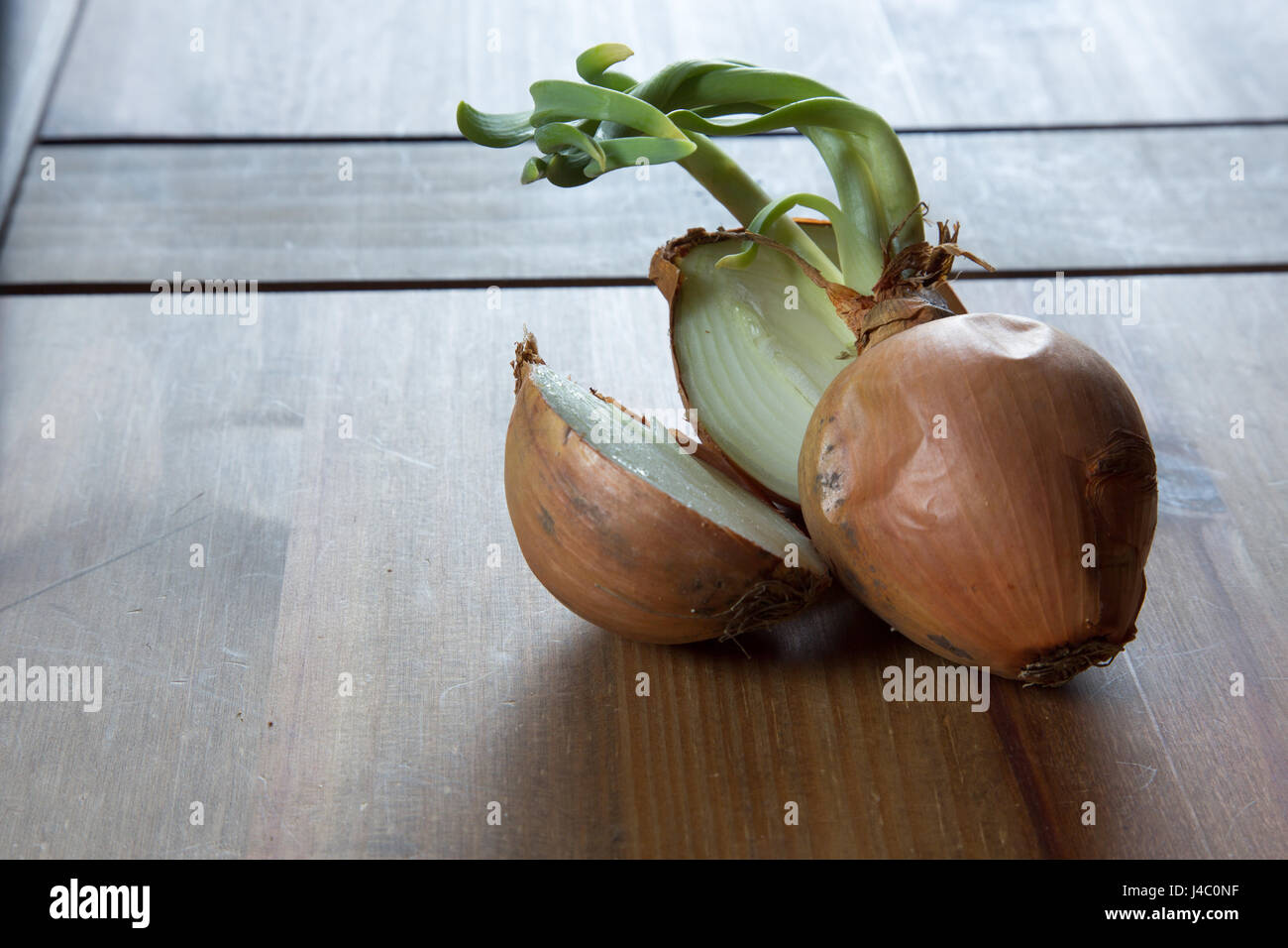Onion half sprouting sliced hi-res stock photography and images - Alamy