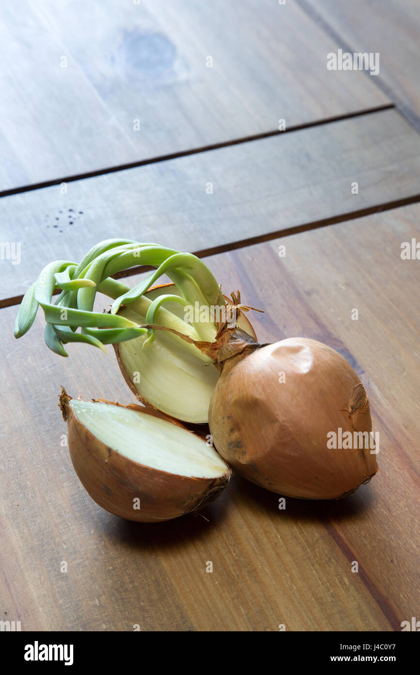 Onion half sprouting sliced hi-res stock photography and images - Alamy